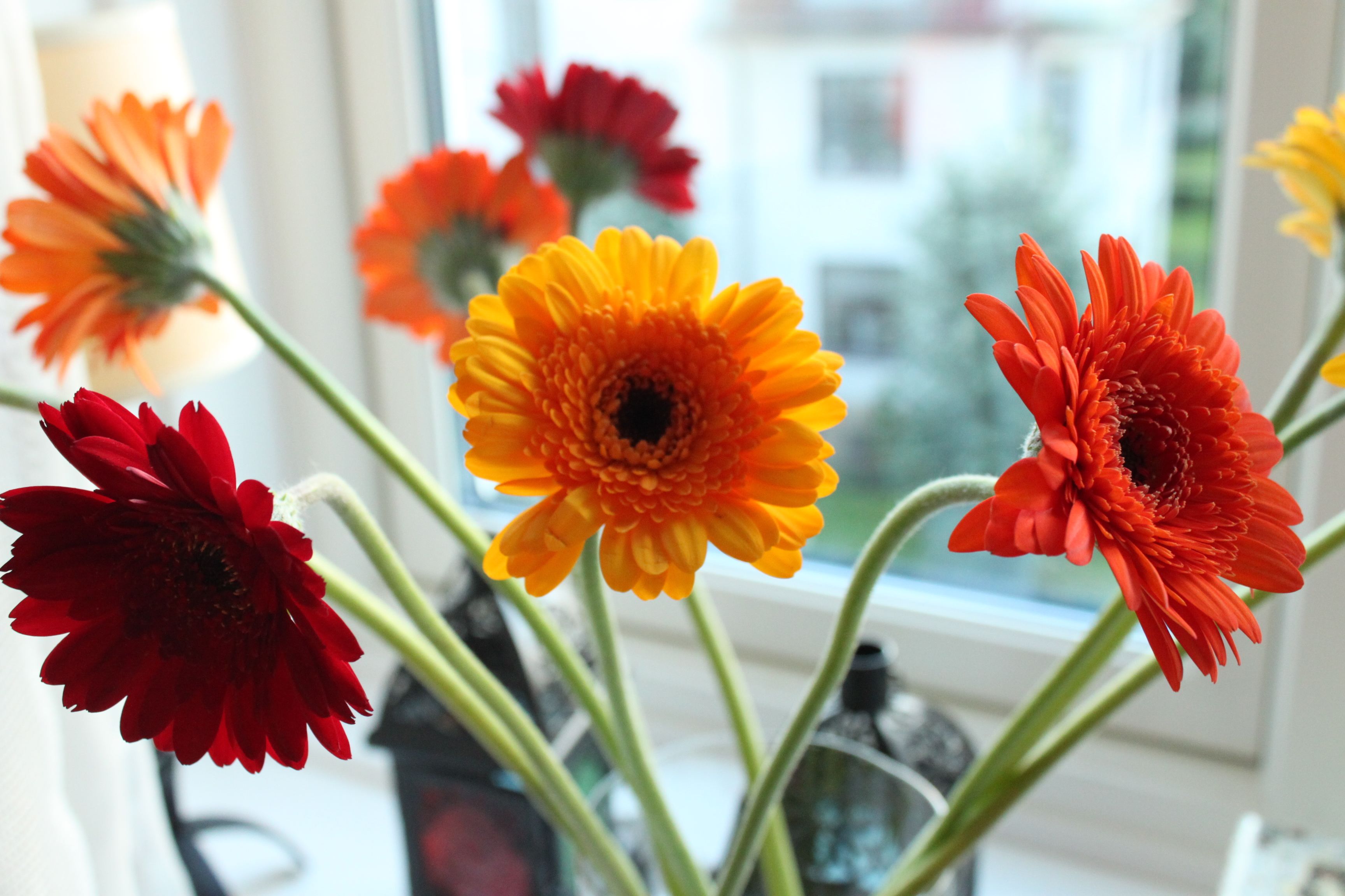 Fin fredag og fin helg | Alt godt